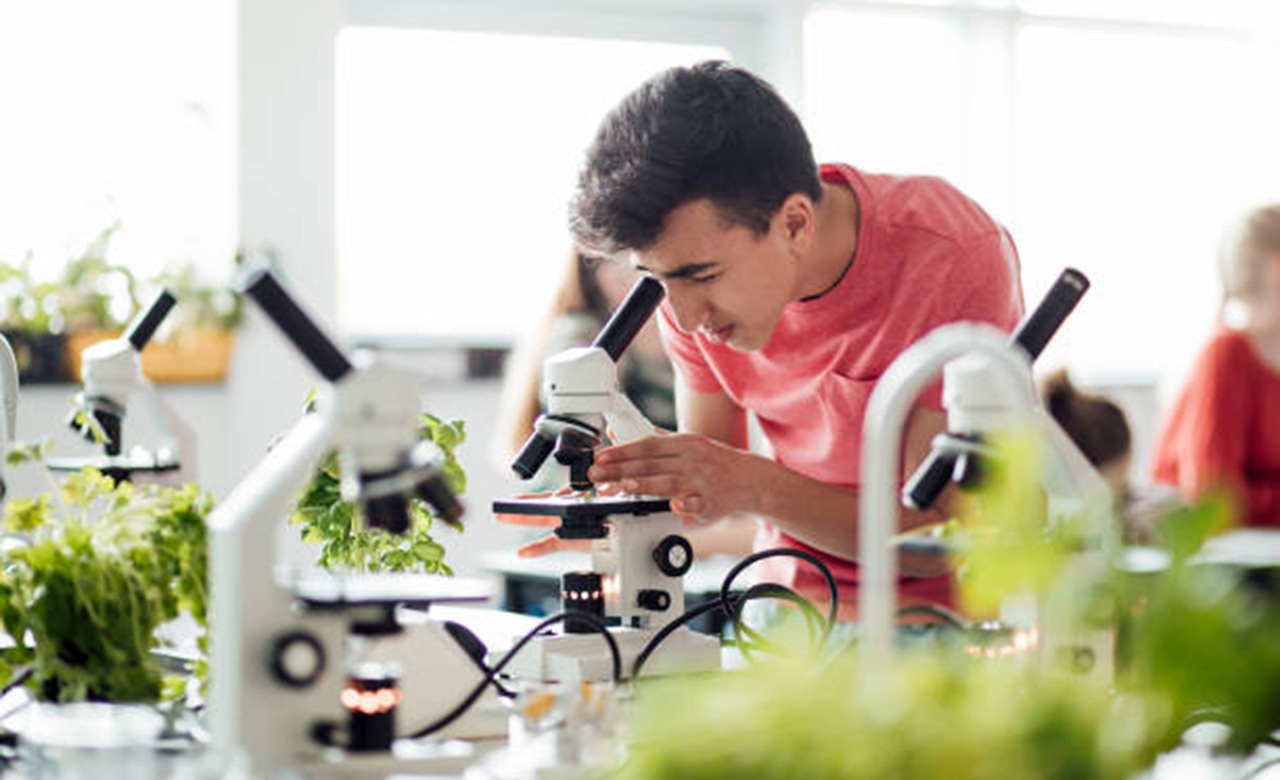 Plant Science Futures